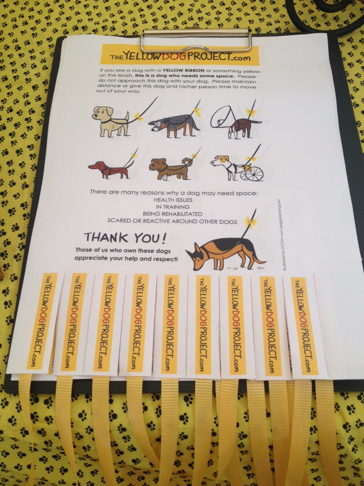 Join us in supporting The Yellow Dog Project! | Hawaii Doggie Bakery