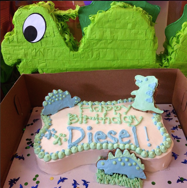 Custom Cakes: Diesel’s Dinosaur Paw-ty! | Hawaii Doggie Bakery